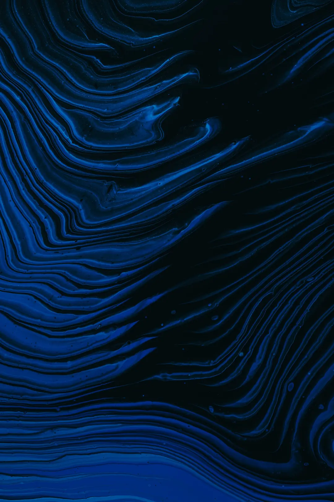 Navy Blue Ne Demek? Ne Anlama Gelir?