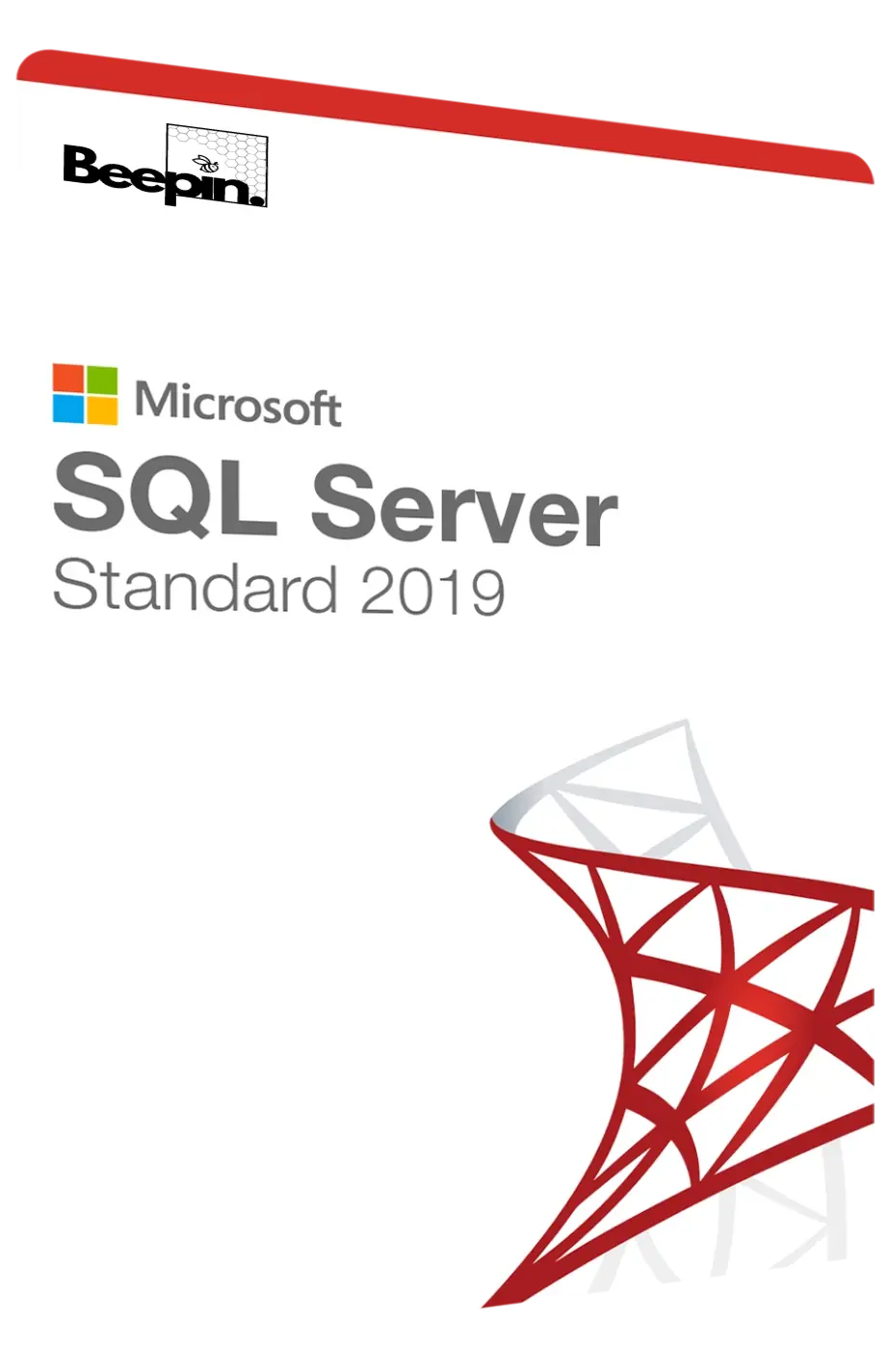 SQL Server 2019 Lisans | Beepin