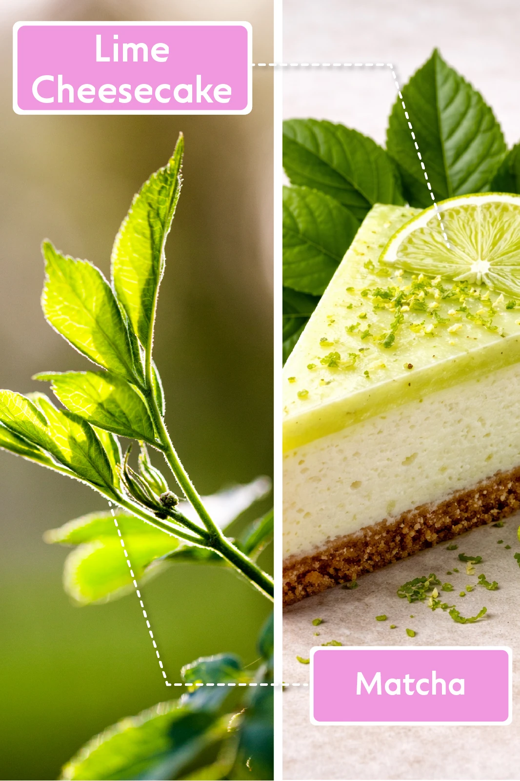 Ashley Joy Limecheesecake Matcha Vücut Losyonu 150 ML