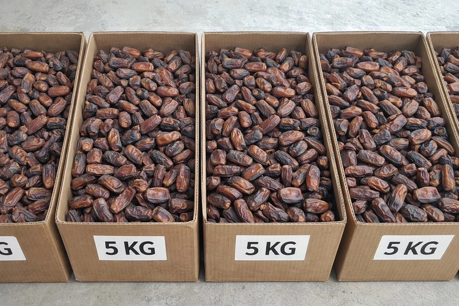 Medine Sukai | Medine Hurması ve Hurma Çeşitleri | Canceviz Hurma