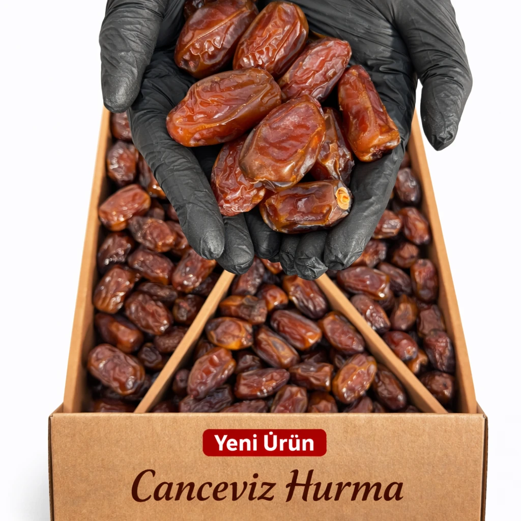 Mısır Medium Hurma | Dengeli ve Doğal Hurma – Canceviz Hurma