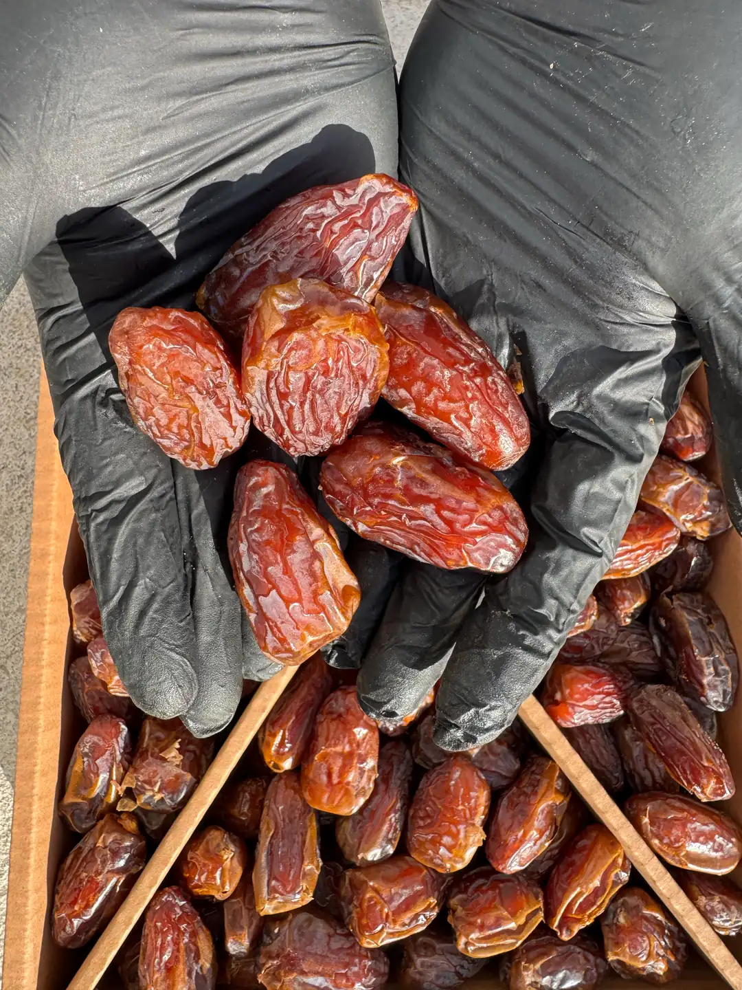 Mısır Medium Hurma | Dengeli ve Doğal Hurma – Canceviz Hurma