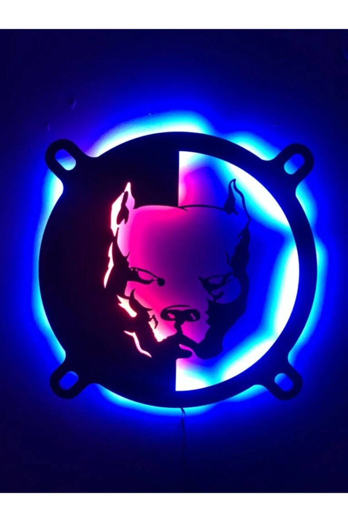 Pitbull Led Işıklı Tablo