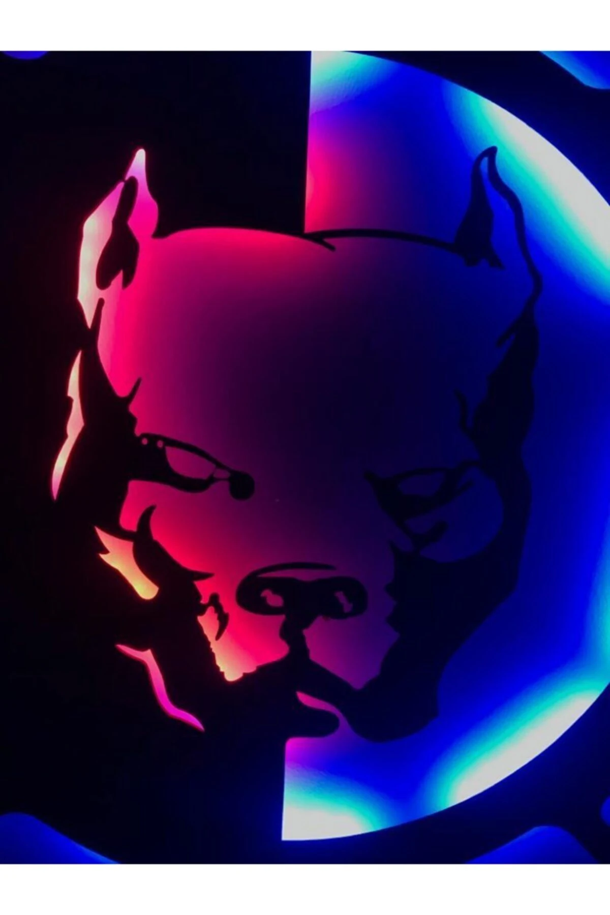 Pitbull Led Işıklı Tablo