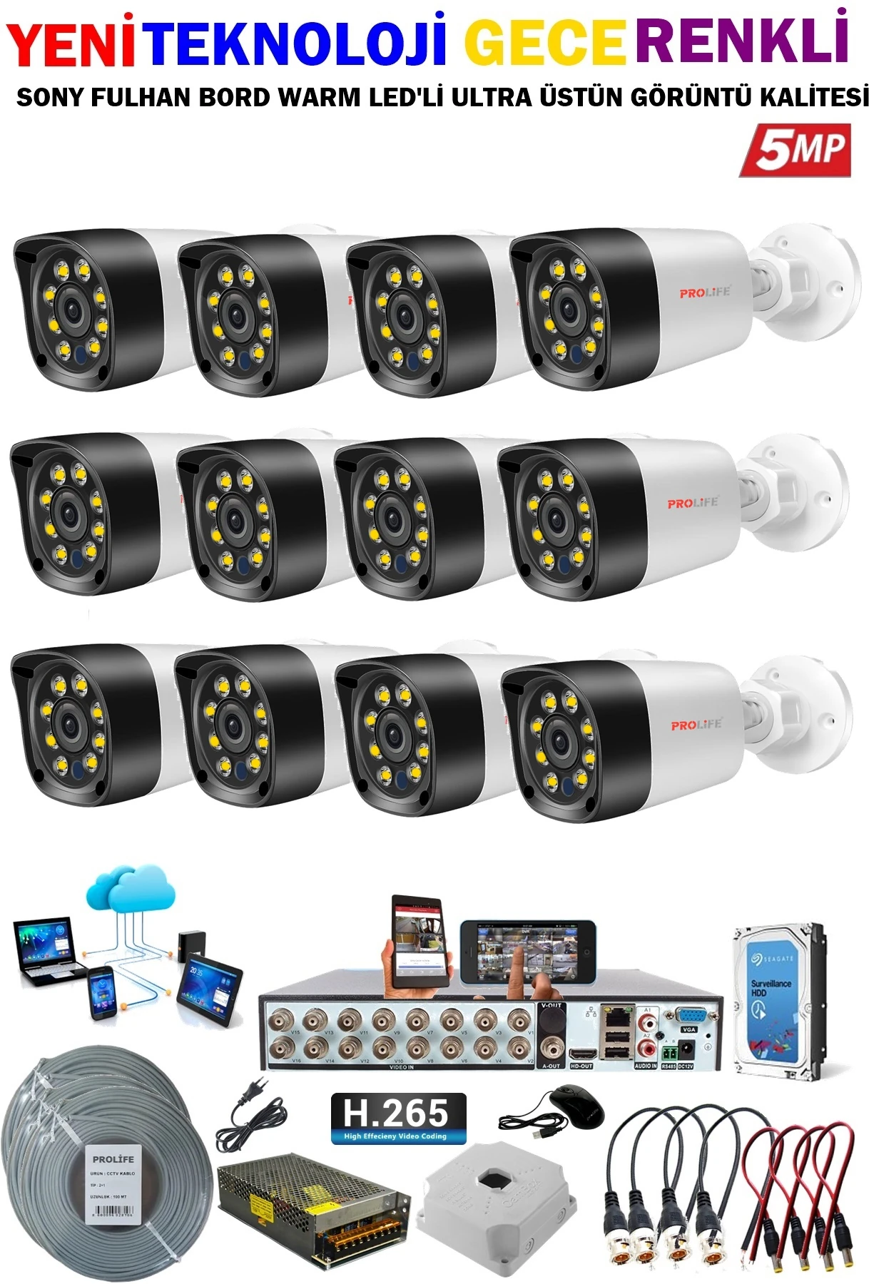 10 Kamaralı Gece Görüşlü Yüz Tanımalı Güvenlik Sistemi