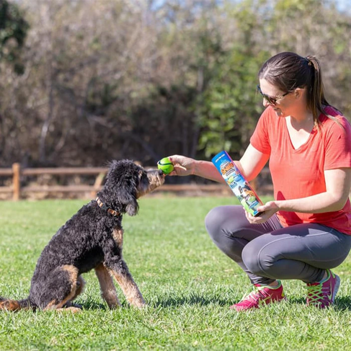 Chuckit Sniff Fetch Kokulu 4lü Köpek Oyun Topu Seti