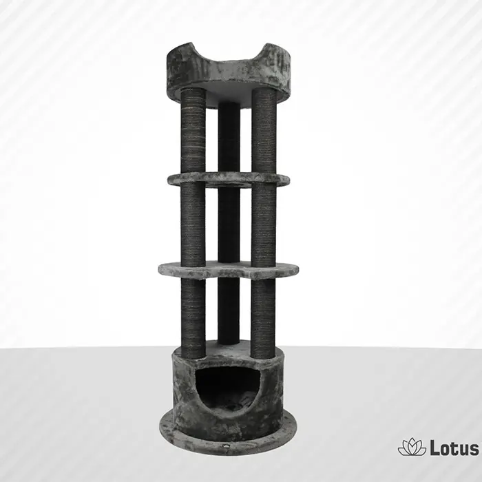 Lotus Dubai Gri Kedi Tırmalama