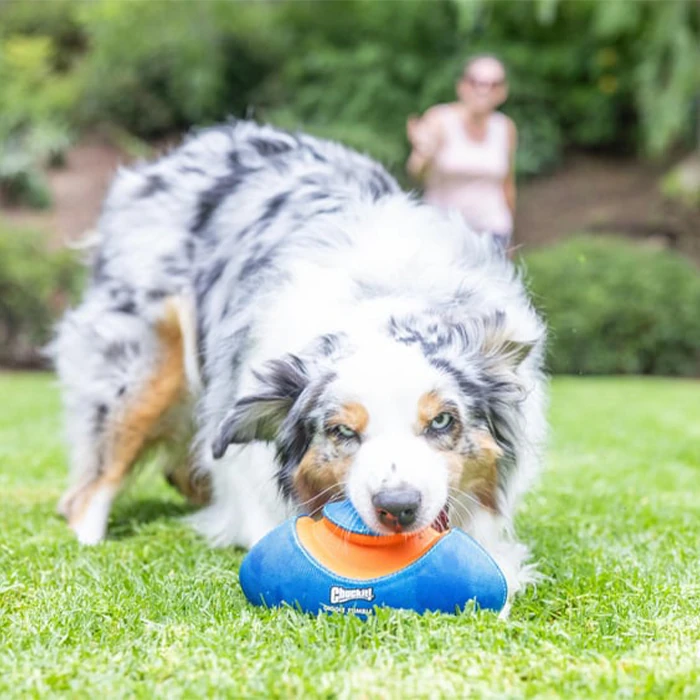 Chuckit Giggle Fumble Fetch Sesli Top Köpek Oyuncağı