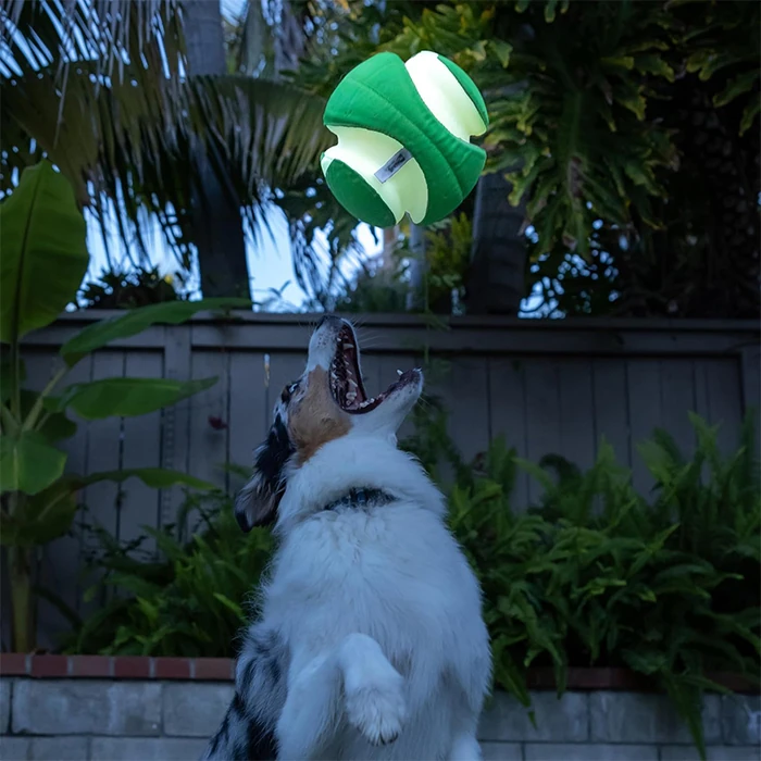 Chuckit Kick Fetch Max Glow Gece Parlayan Köpek Oyuncağı Büyük