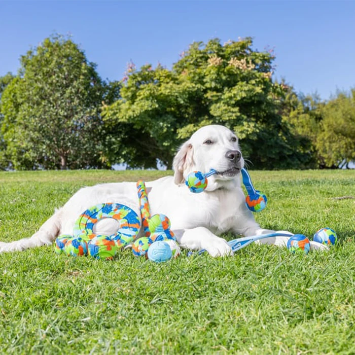 Chuckit EcoFetch Stick Köpek Oyuncağı