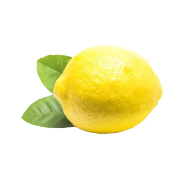 Limon Mayer || ₺ 150.00