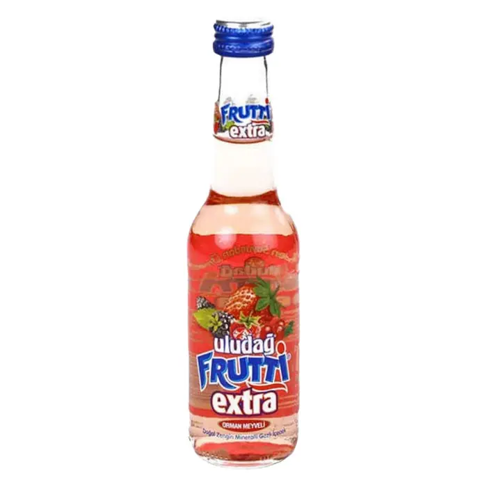 Frutti Extra Orman Meyveli Cam 250 Ml