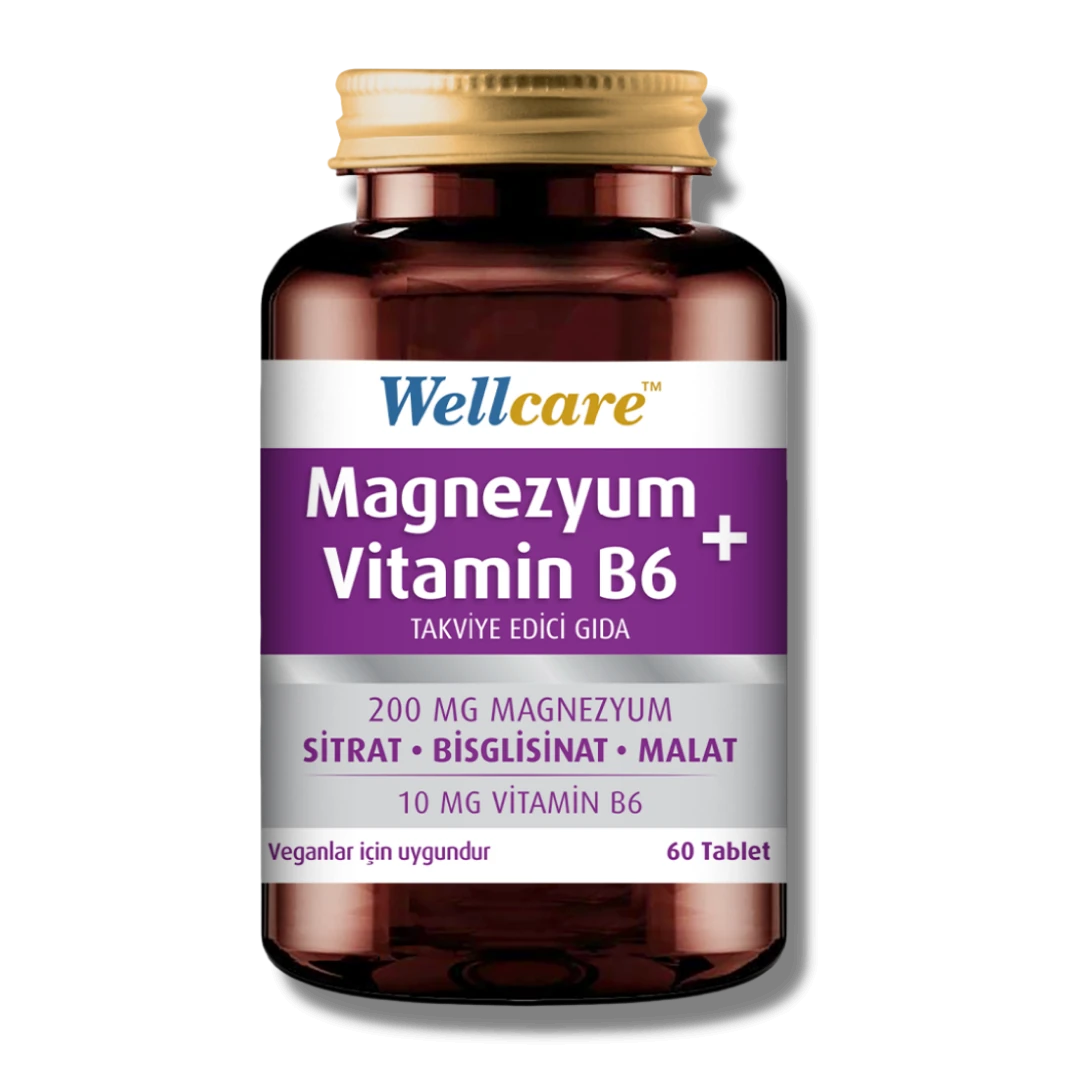Wellcare Magnezyum 60 Tablet Fiyatı ve Yorumları