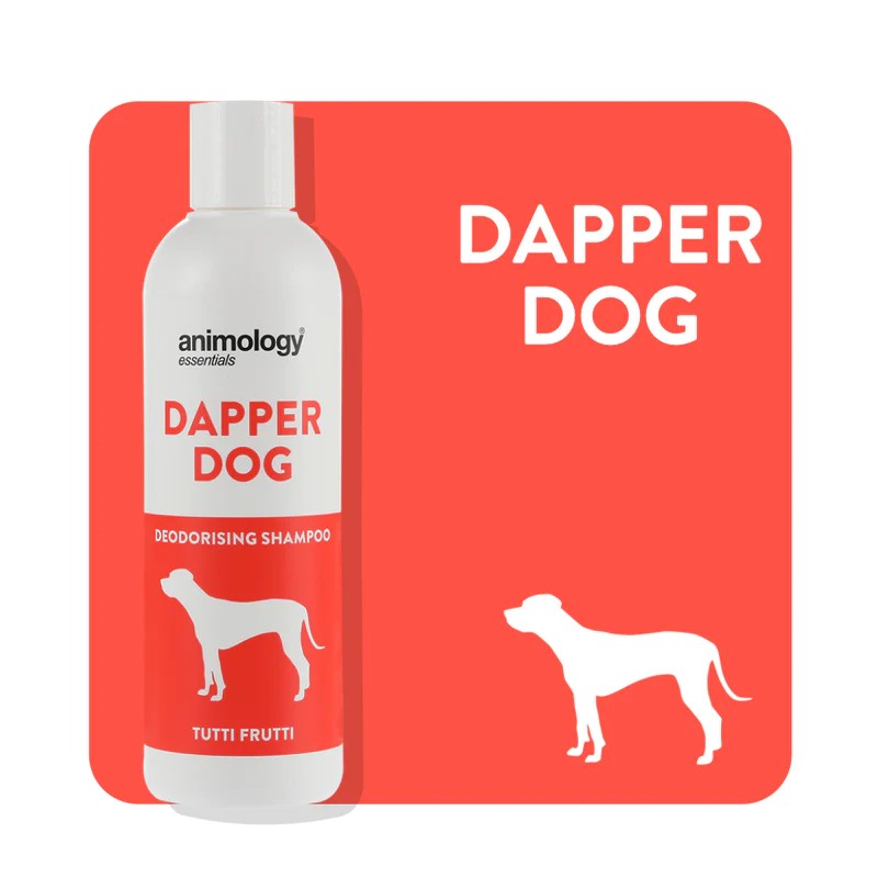 Animology Essentials Dapper Dog Kopek ampuan 250 mL