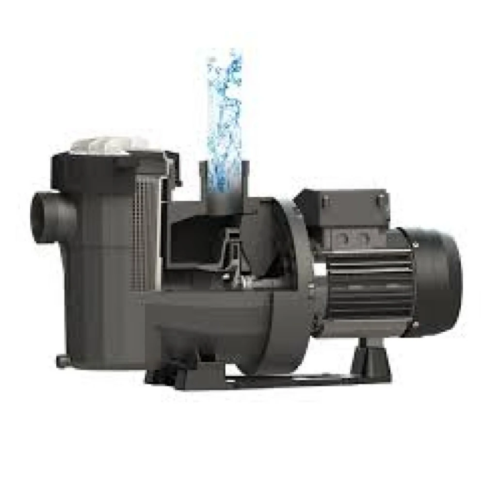 Astral Victoria Plus Silent 1.5 HP Monofaze Havuz Pompası | Havuzsepetiniz