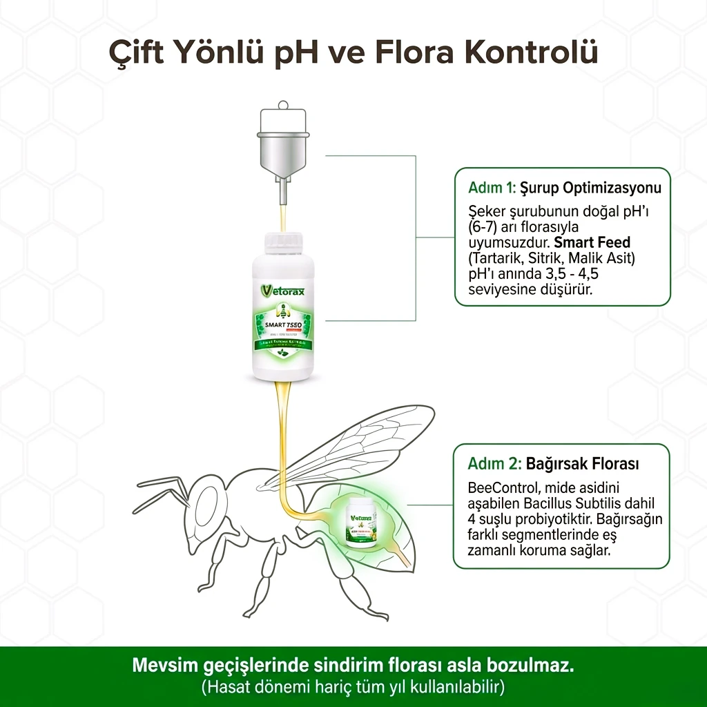 Hoby Arıcı Tam Paketi — 20 Arı Yaşam Keki + Tüm Vetorax Ürünleri