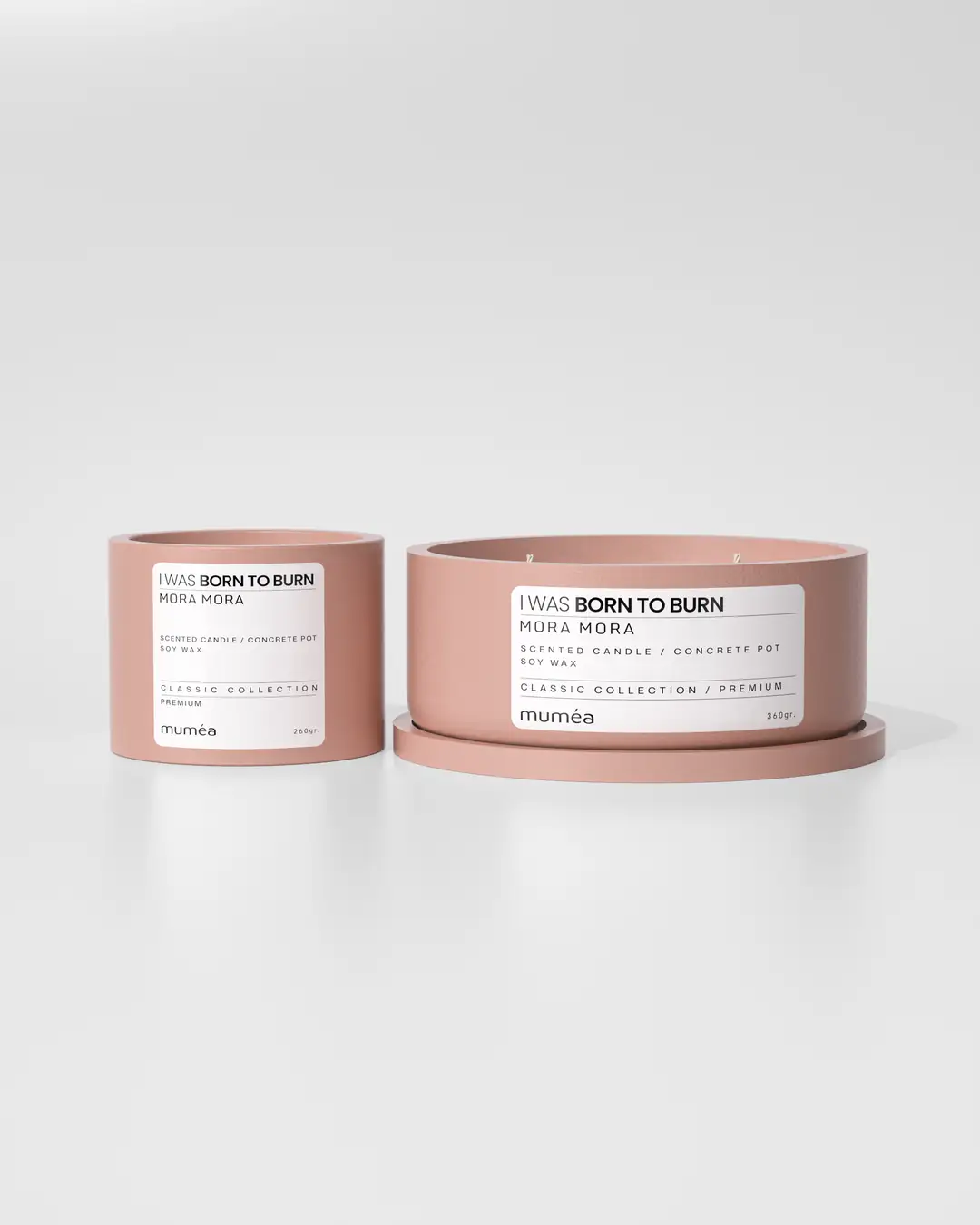 Mora Mora Kokulu Set Soya Mum (Beton Saksıda)