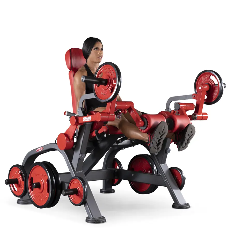 Alternate Leg Extension