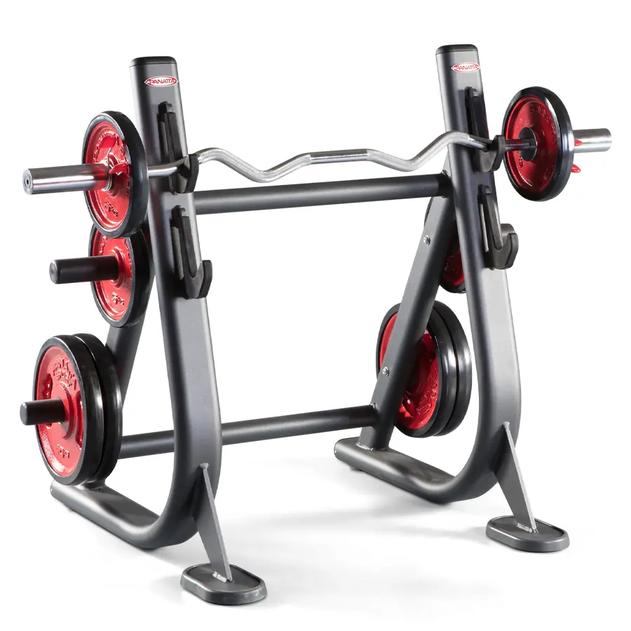 Fit Evo - Curl Rack