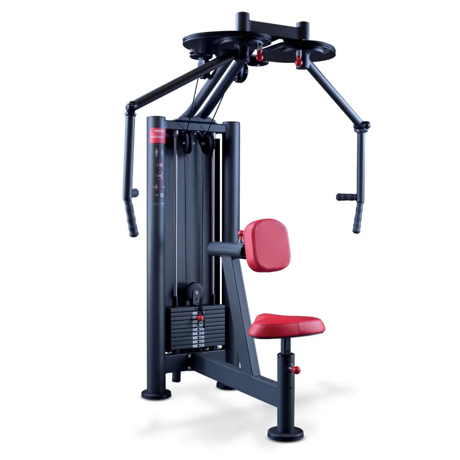 SEC - Pec Back