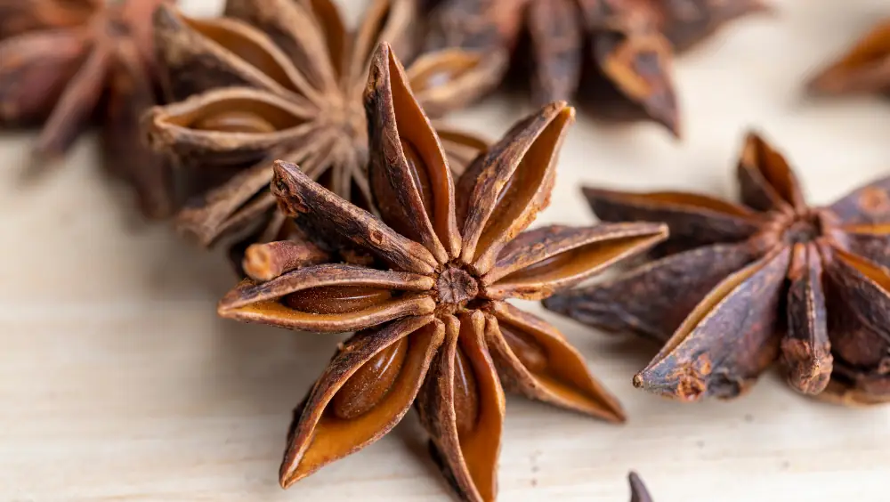 Anason Nedir? Ağız Bakım Ürünlerinde Kullanımı