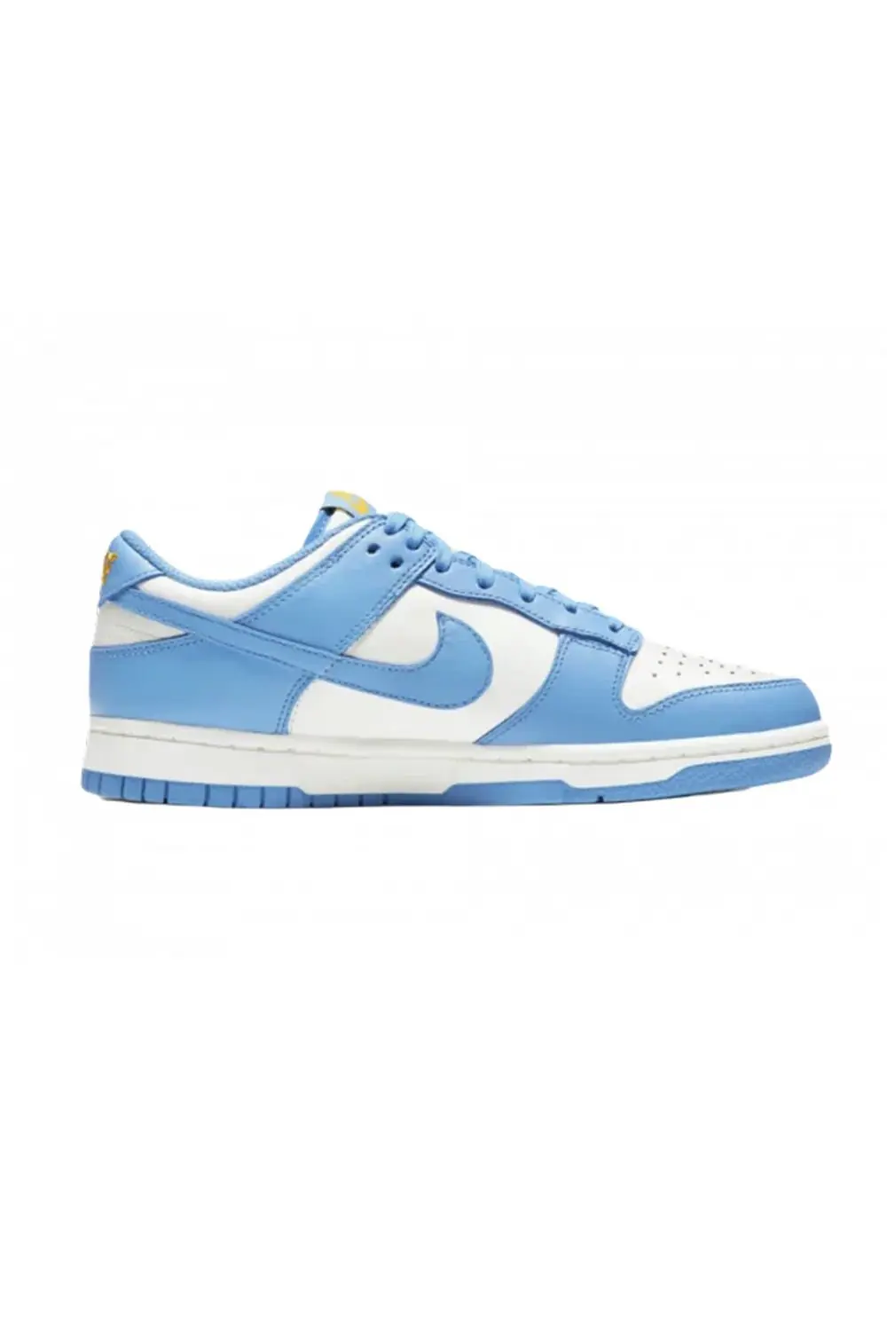 Nike Dunk Low Coast (W) N223 | ElitShoe