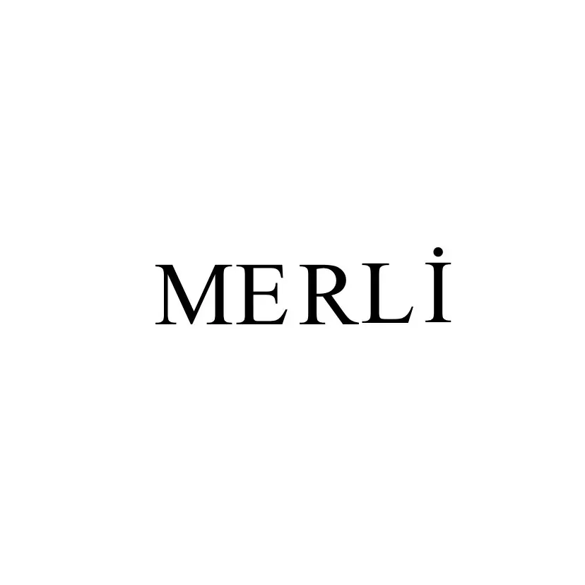 MERLÍ