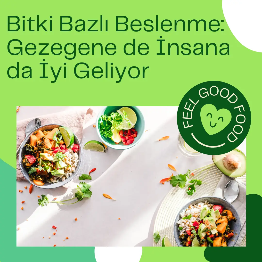 Bitki Bazlı Beslenme: Gezegene de İnsana da İyi Geliyor