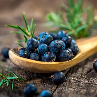 ARDIÇ YAĞI NEDİR NE İŞE YARAR?