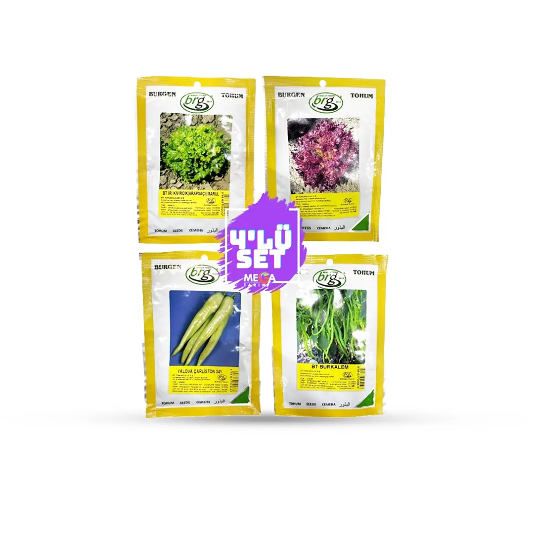 4'lü Tohum Seti (Arap Saçı Marul - Kırmızı Marul - Yalova Çarliston ...