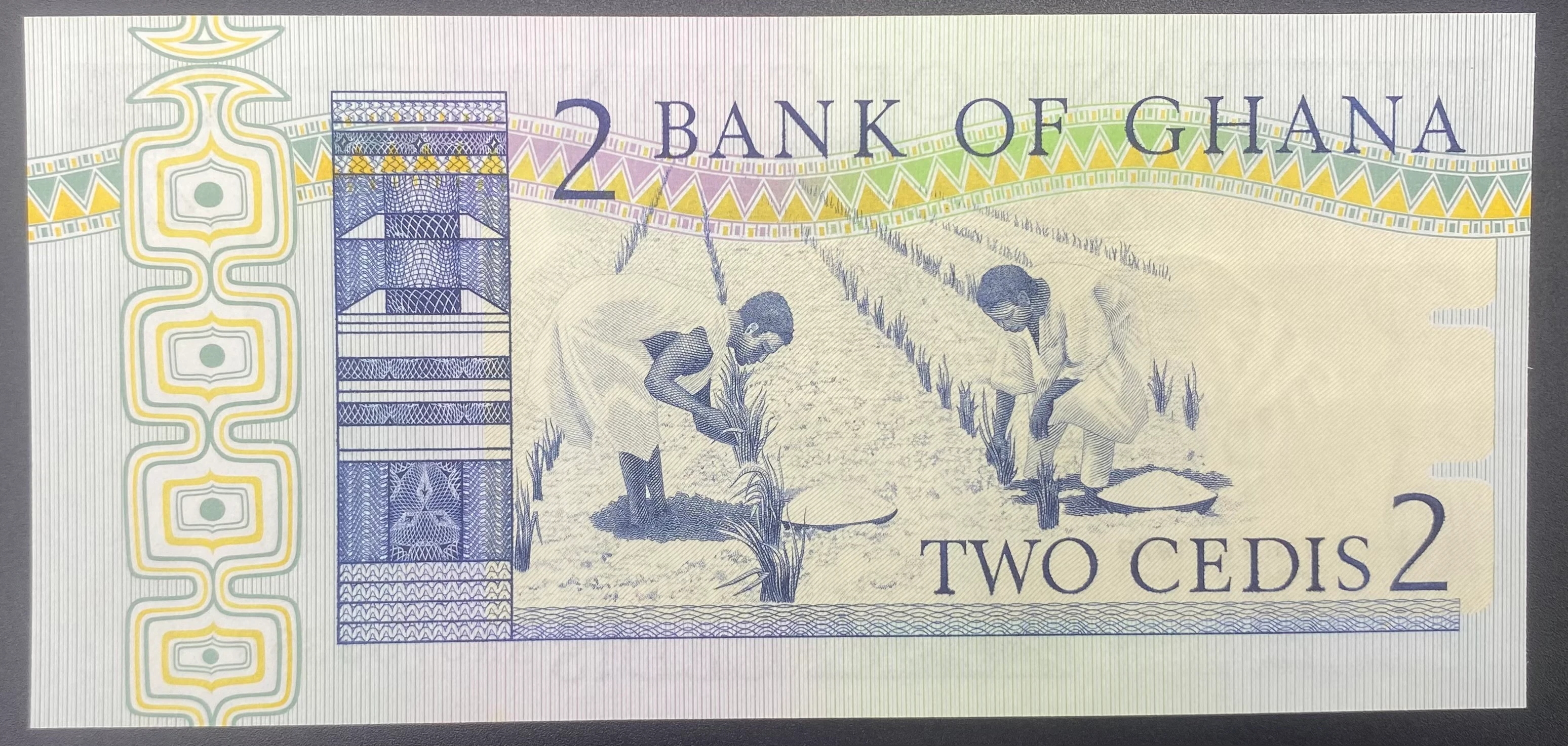 GANA 2 GEDİS (2015)-ÇİL