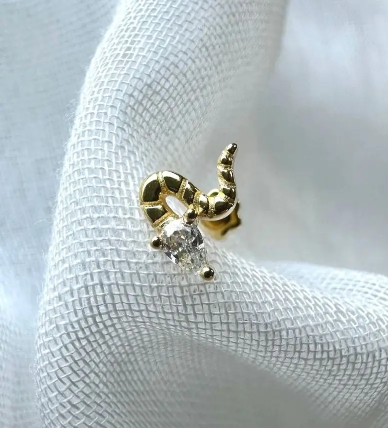 Piercing Ne Demek ? Piercing Çeşitleri Neler?