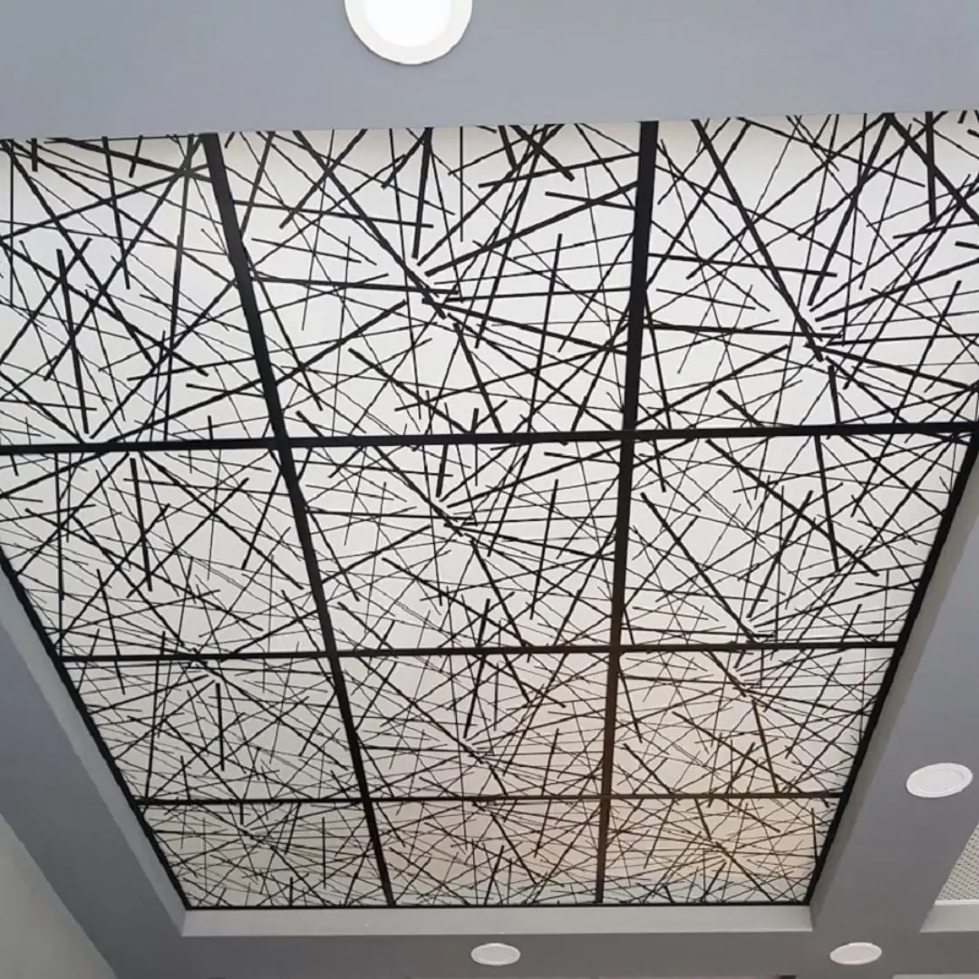 Plastik Asma Tavanlar: Estetik ve Dayanıklılığın Buluşma Noktası