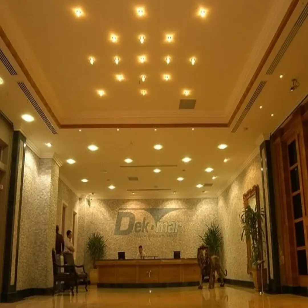 Alçıpan Asma Tavan Modelleri | Estetik Çözümler 2025