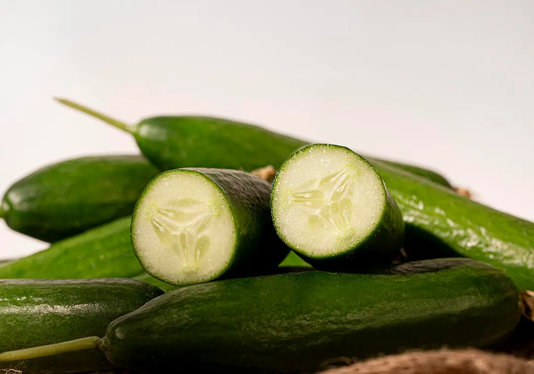 SALATALIK 1 KG