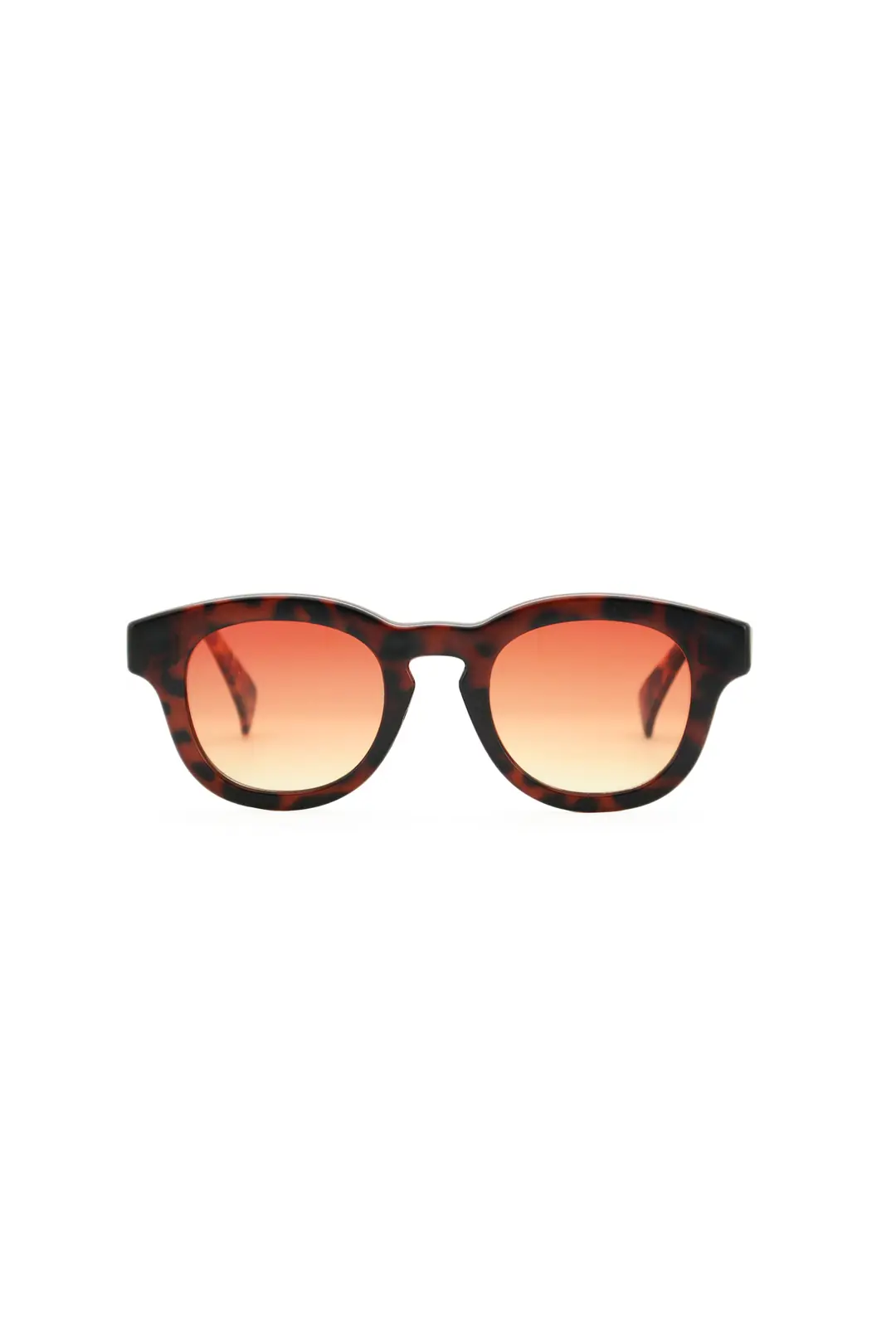 LOOKlight Pinus