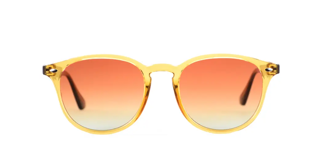 LOOKlight Langdon Daisy Unisex Güneş Gözlüğü