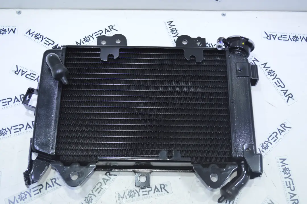 S-JL232605 Bajaj Pulsar NS 200 Radyatör