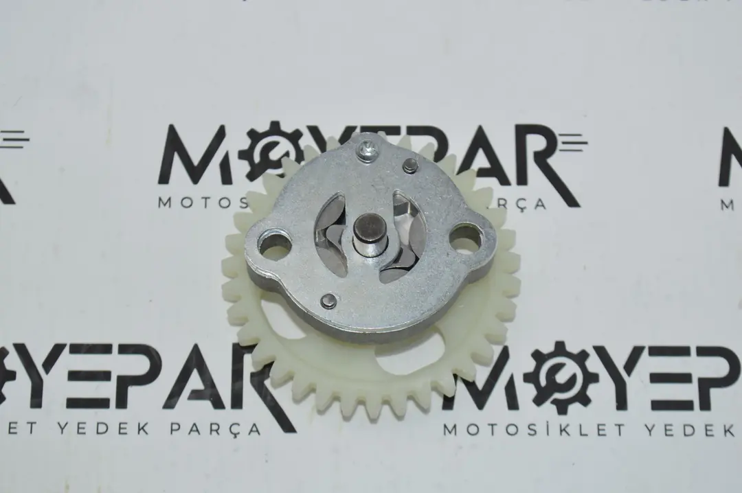 RK 33138 RKS PRİVATE YAĞ POMPASI