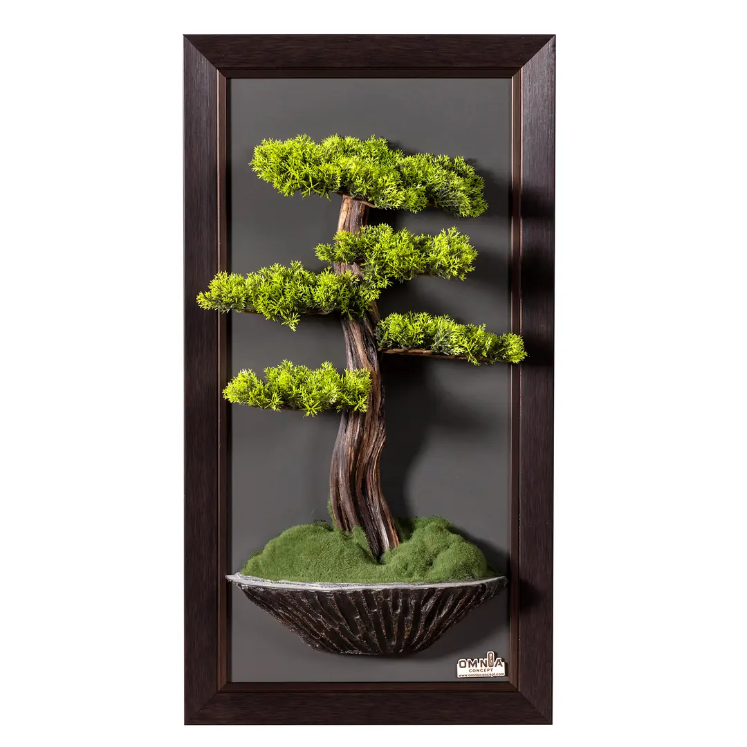 Bonsai Tableau-13