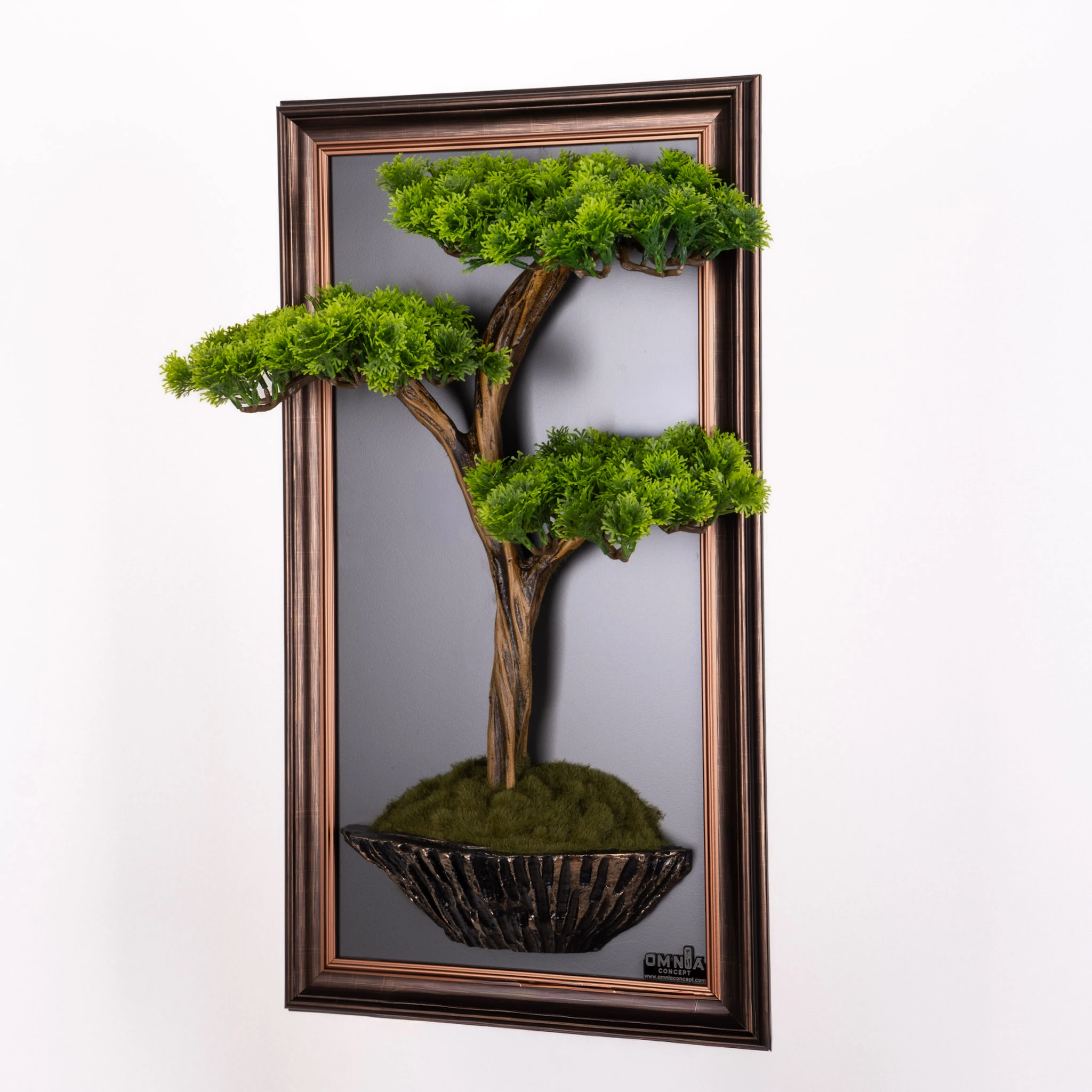 Bonsai Tableau-7C