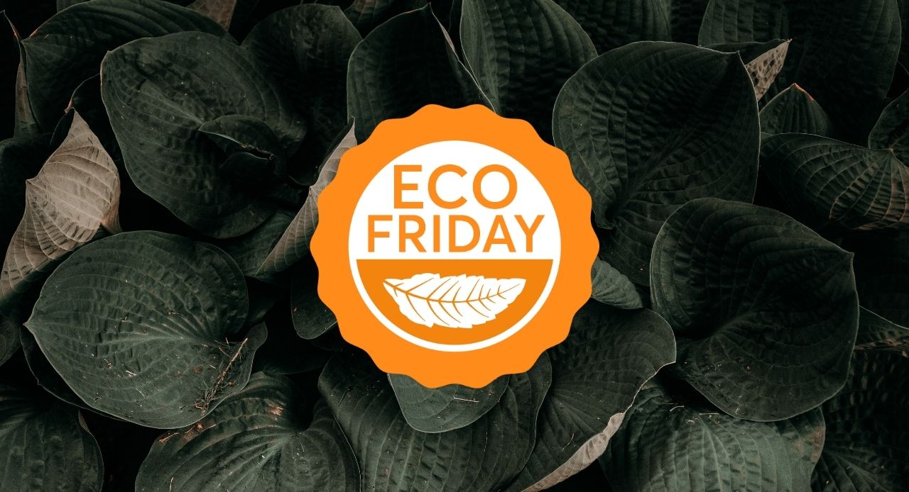 Eco Friday Nedir?