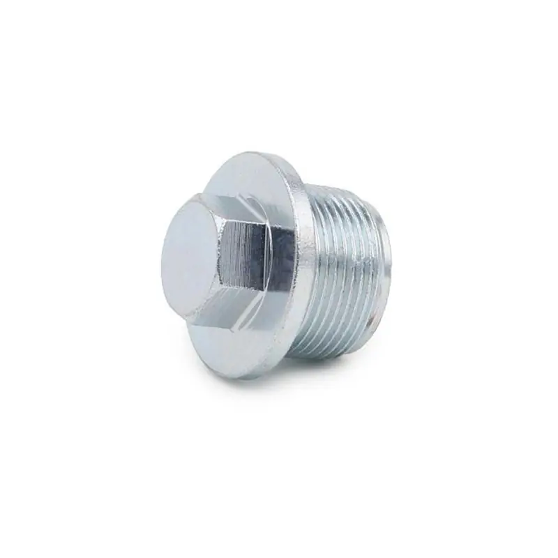 Crafter 2.5 Sump Plug | BSG 059103193