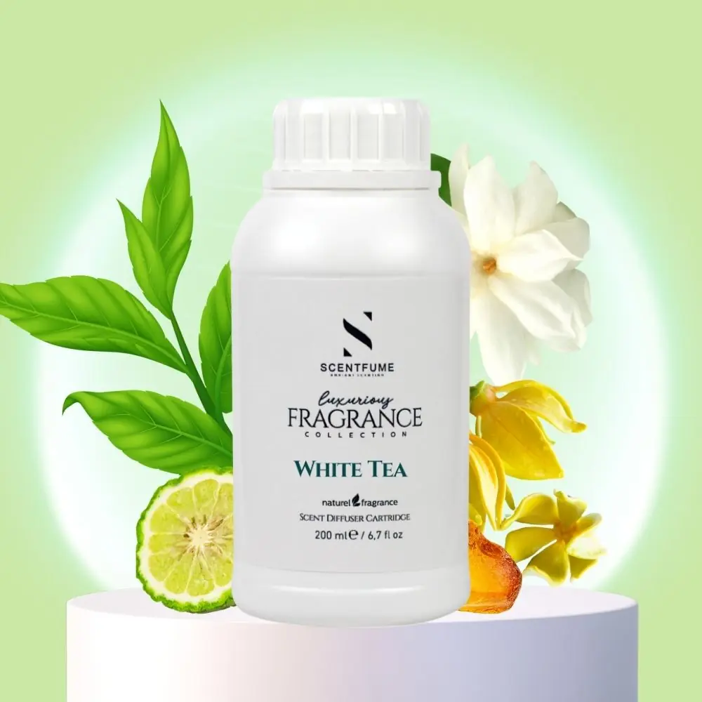 White Tea Diffuser Parfume, Arômes - SCENTFUME