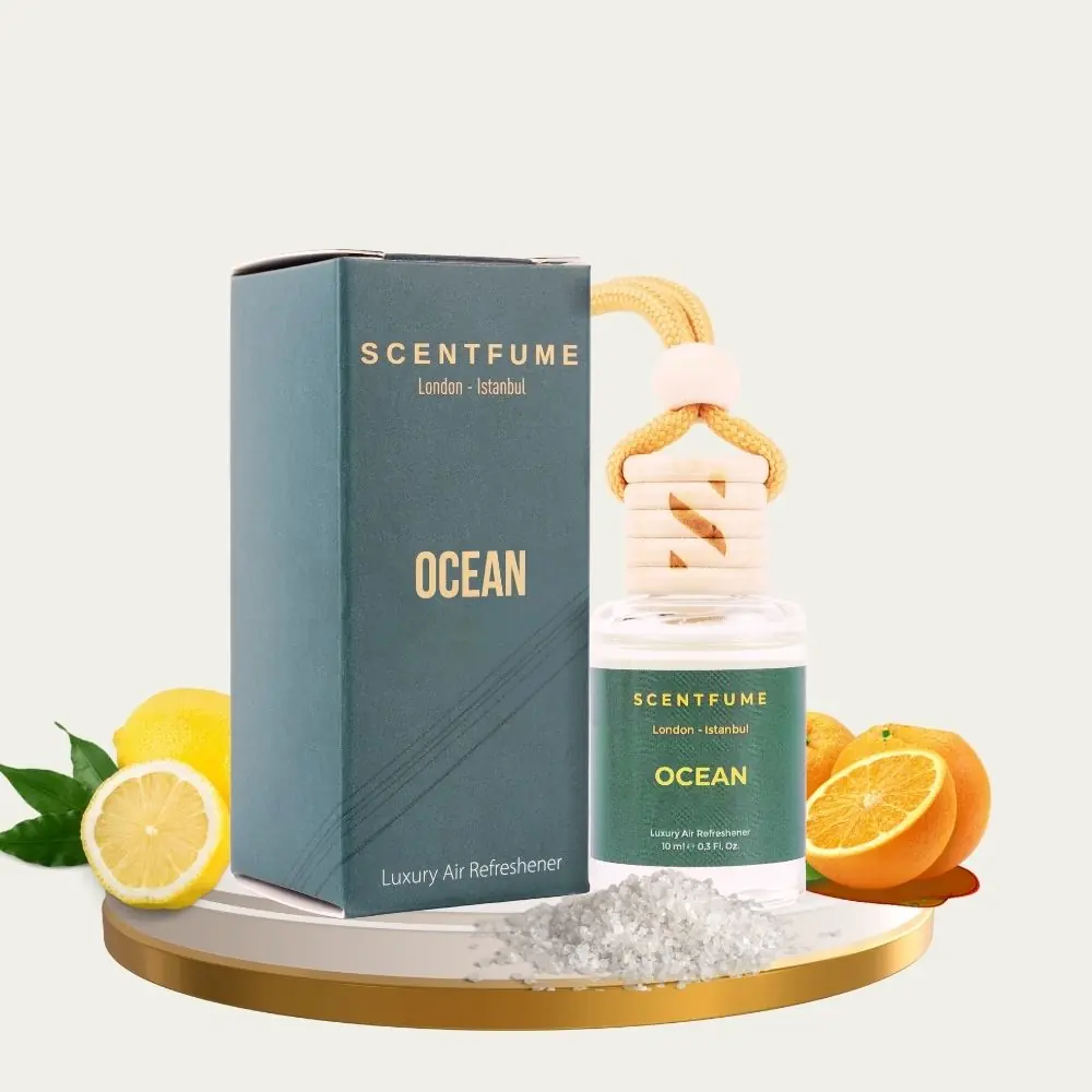 Car Diffuser-Car Refreshener