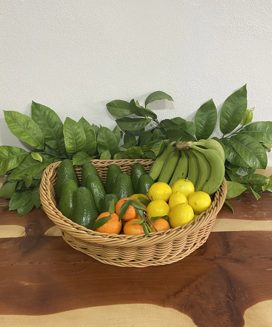 Eko Paket I Ejder Meyvesi Alanya