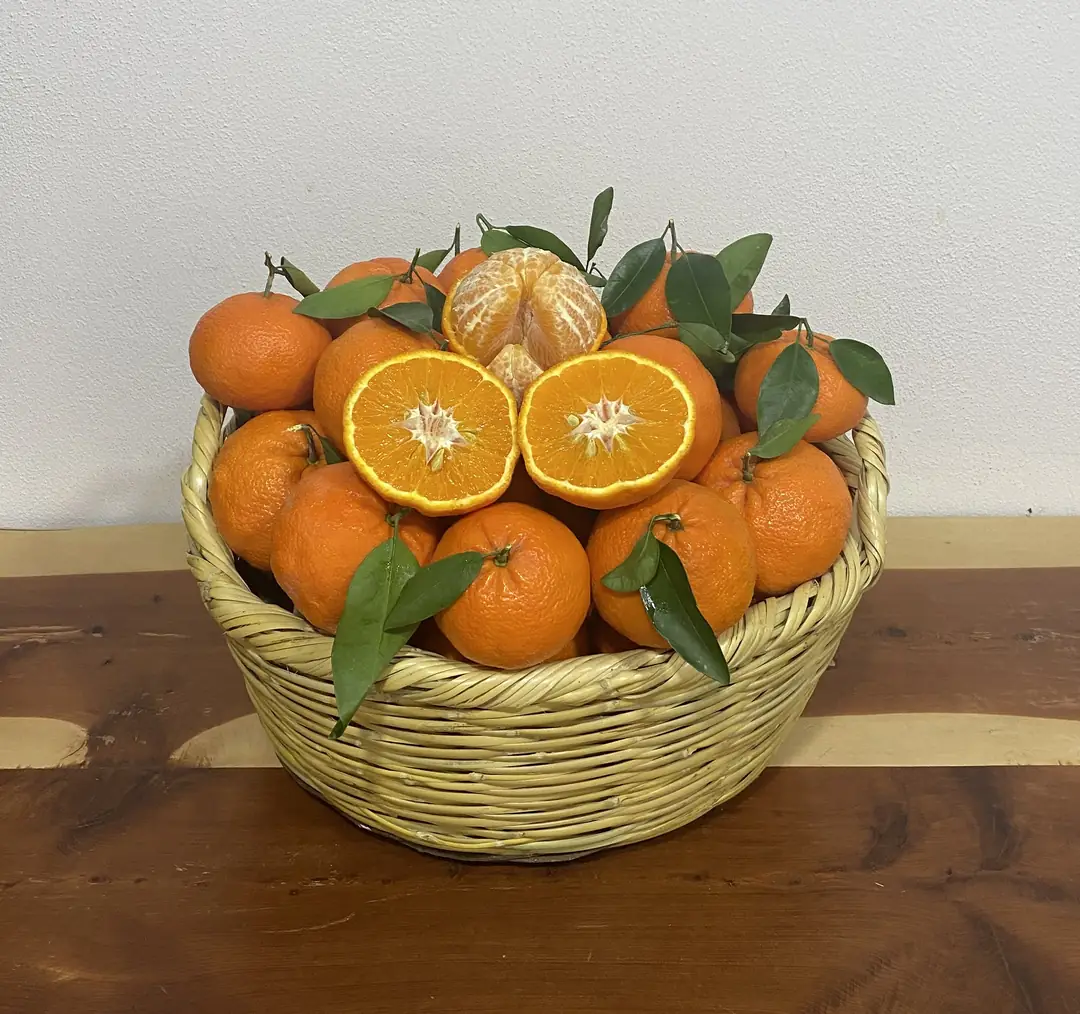 1 kg Mandalina (Mandora)