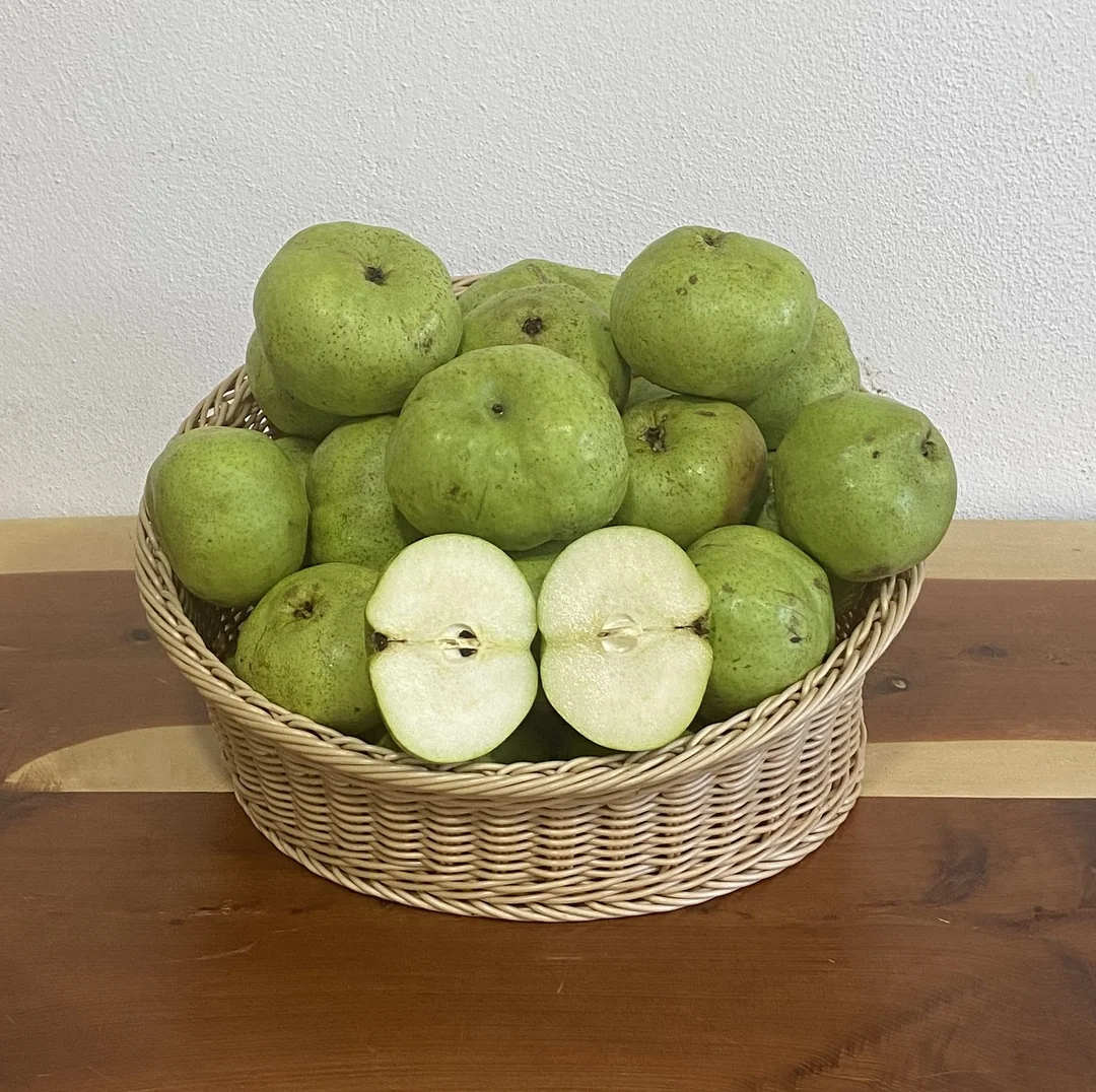 1 kg Armut (Karyağdı) I Ejder Meyvesi Alanya