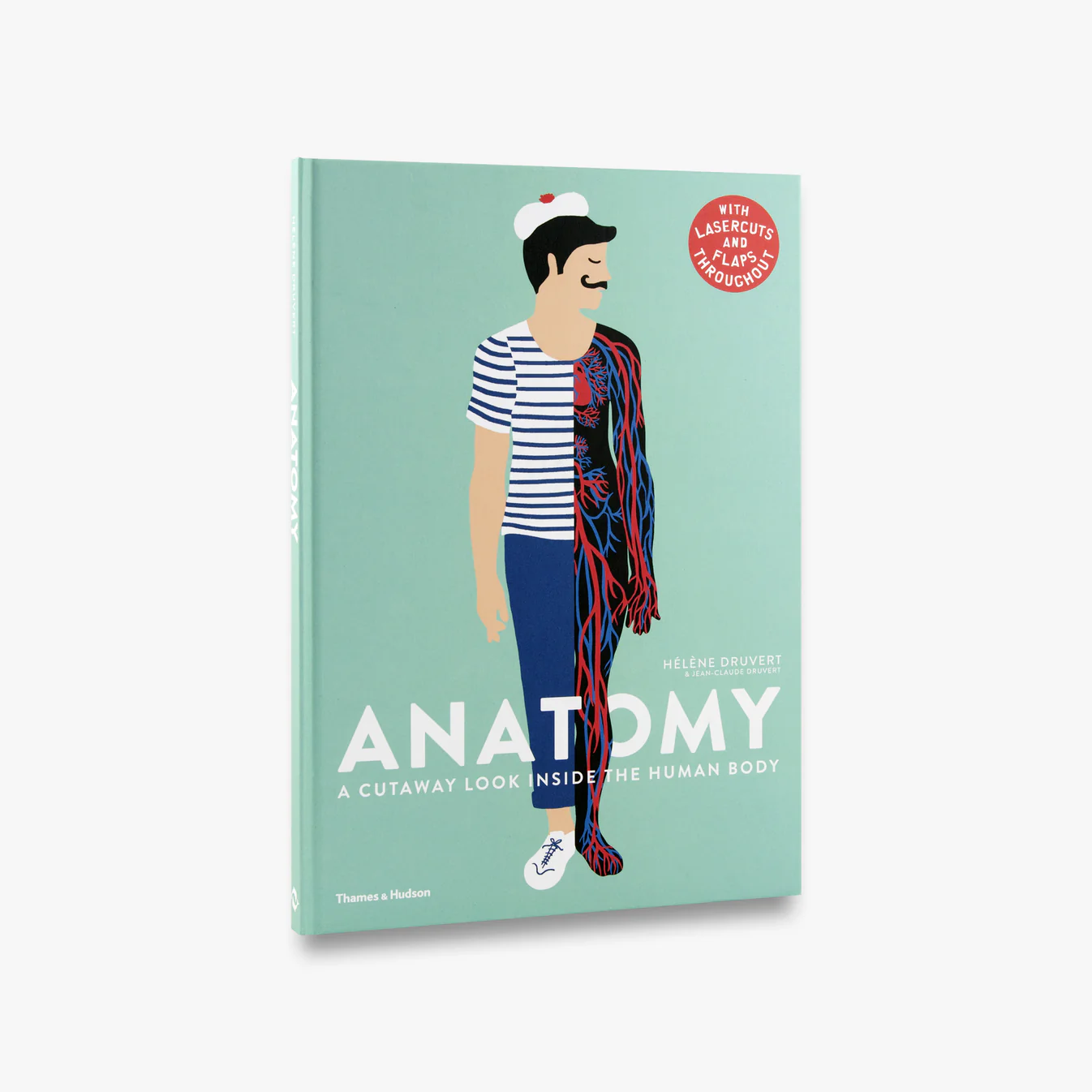 Anatomy A Cutaway Look Inside the Human Body by Hélène Druvert