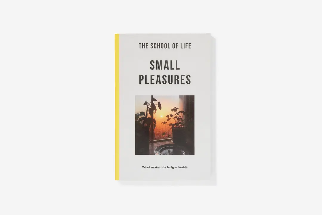 Small Pleasures by Alain de Botton